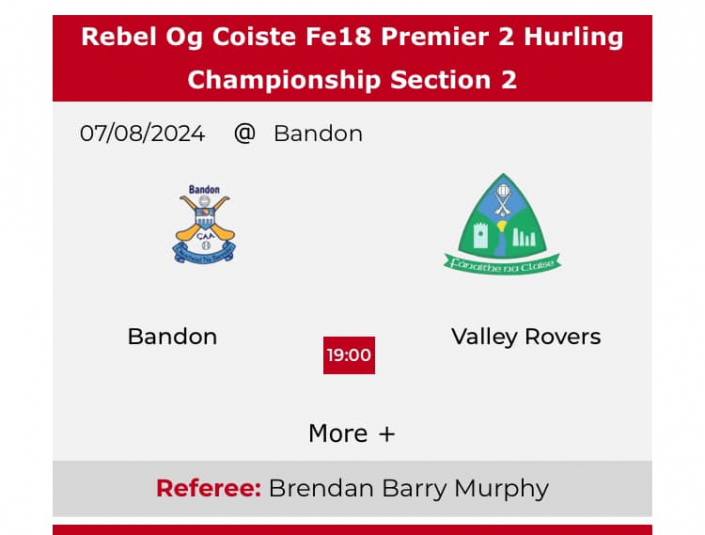 Rebel Óg Fixtures For This Week – Valley Rovers GAA