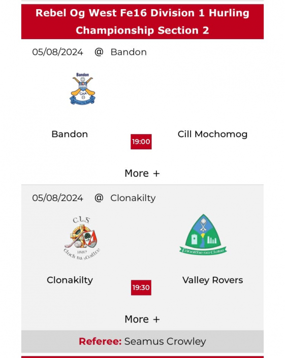 Rebel Óg Fixtures For This Week – Valley Rovers GAA
